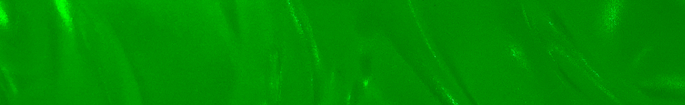 Colorbar Accessories: Neon Green Colorbar Lens